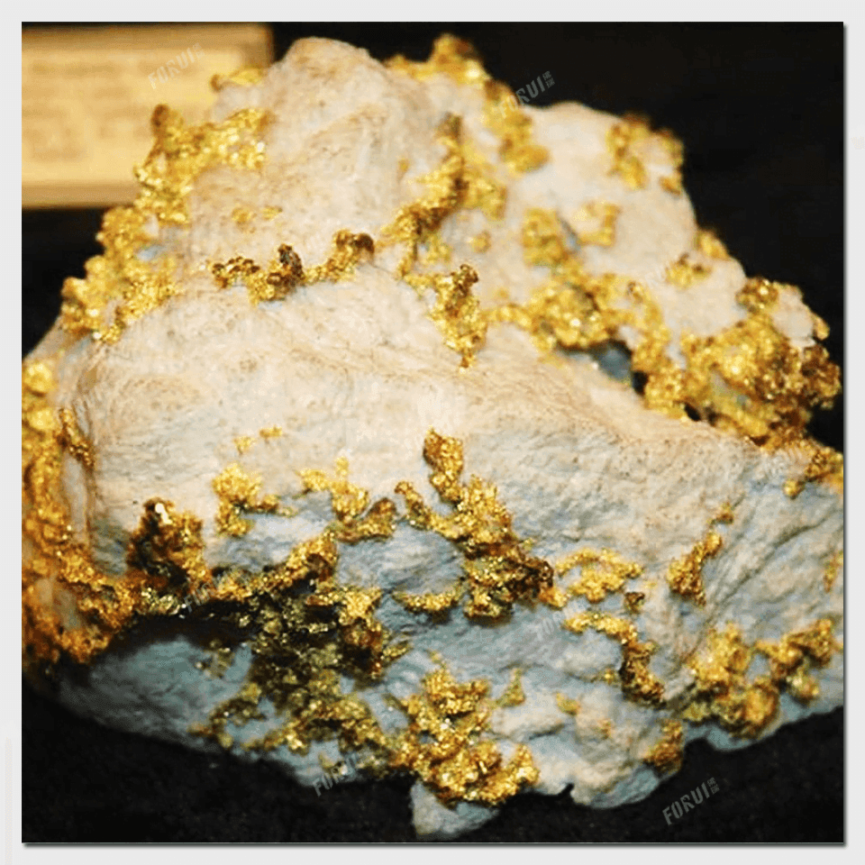 Gold Ore Processing Line - Henan Forui Machinery Technology Co., Ltd